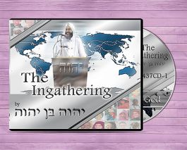 The Ingathering